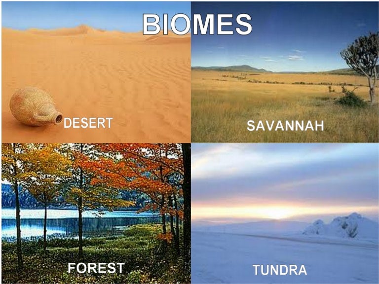 Biomes