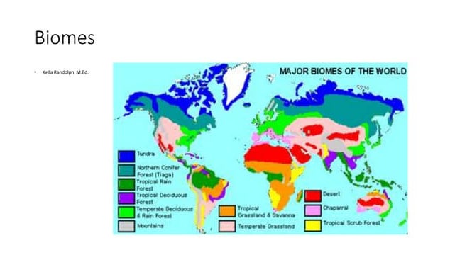 Tropical Dry Forest Biome Map
