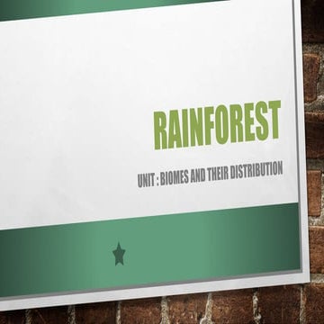 Rainforest | PPT