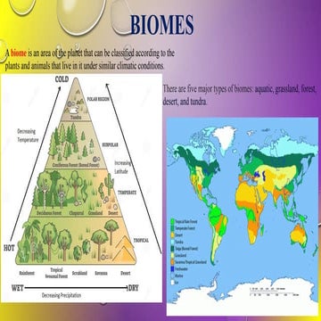 Biomes, Ecosystem, Classification of Biomes | PPT