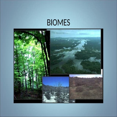 MAJOR BIOMES OF WORLD | PPTX