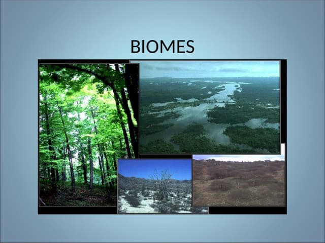 Georgia Habitats Piedmont | PPTX