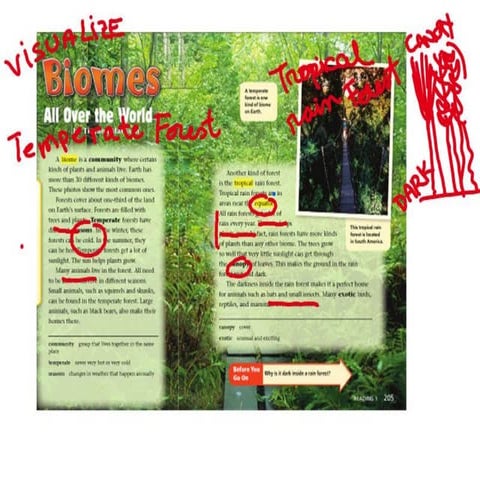 Biomes all over the World | PDF