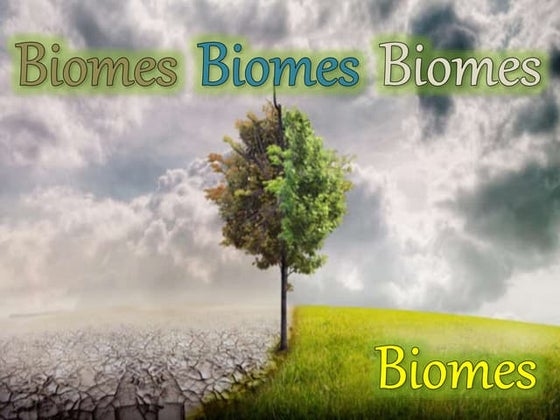 Ecosystems and biomes | PPT
