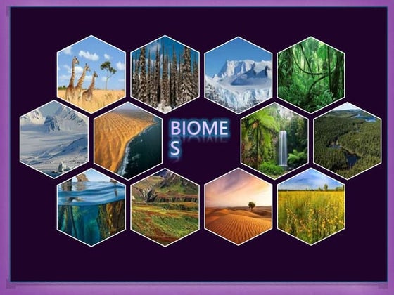 MAJOR BIOMES OF WORLD | PPTX