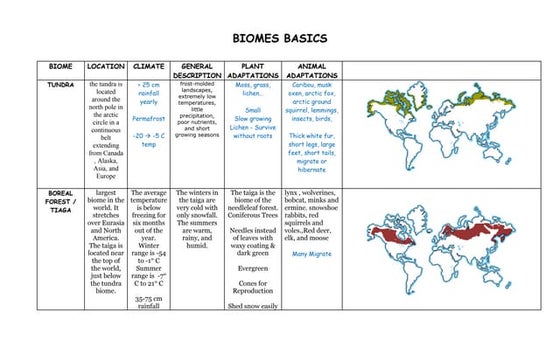 world biomes - animals and plants | PPTX