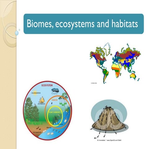 Biomes, ecosystems and habitats quiz 1 | PDF