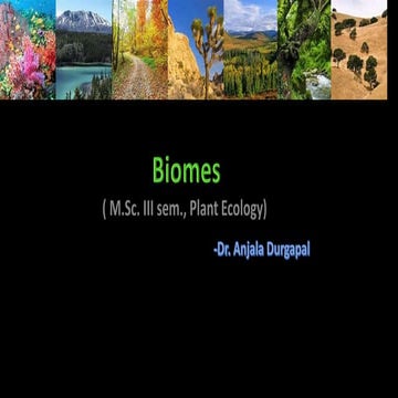 Powerpoint ..biomes | PPT