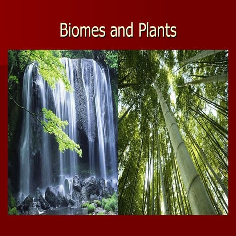 Biomes pathfinder | PPT