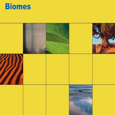 Biomes powerpt | PPT
