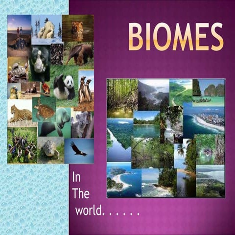 Biomes ppw | PPTX