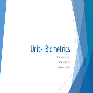 Human Iris Biometry | PDF