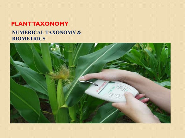 Numerical taxonomy_Plant Taxonomy | PPTX | Biological Sciences | Science