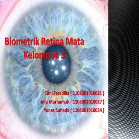 Biometrik Retina Mata | PPTX
