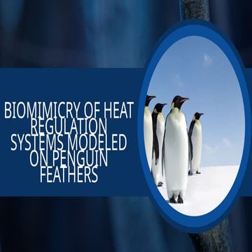 Biomimcry of Penguin Skin in Heat Regulation.pptx