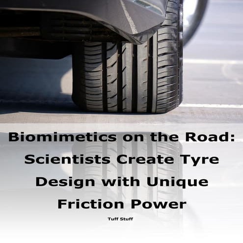 Biomimetics on the Road: Scientists Create Tyre Design with Unique ...
