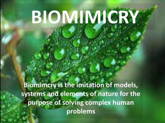 Biomimicry | PPTX