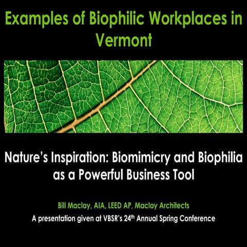 Biomimicry and biophilia as a powerful business tool nature's ...