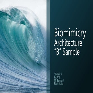 Biomimicry Portfolio B Sample.pptx