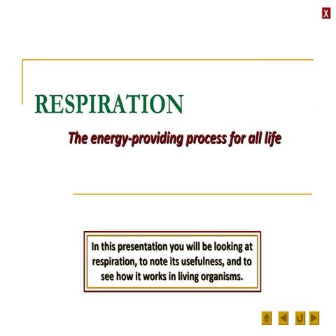 Biology M2 Respiration | PPT