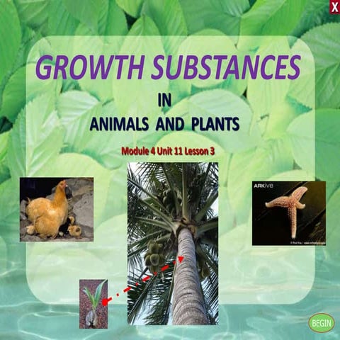 Biology M4 Growth Substances in living things | PPTX