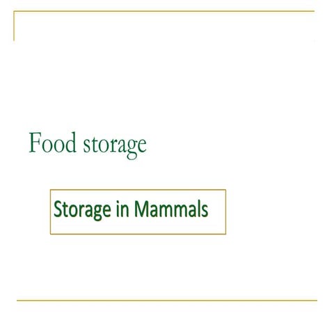 Biology M1 Food Storage | PPT