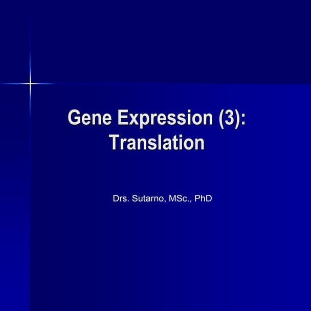Biomol 7. translasi | PPT
