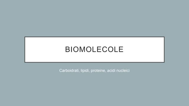 Le biomolecole: i carboidrati | PPTX