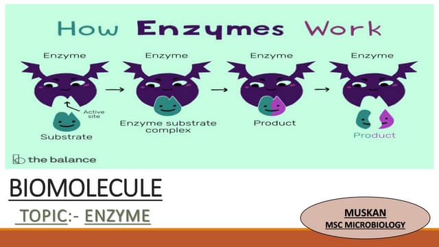 Enzymes | PPT