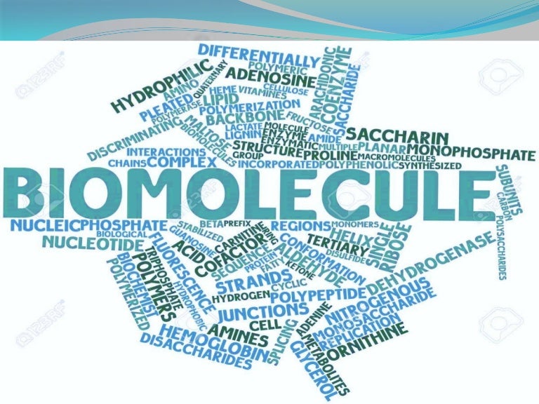 Biomolecules