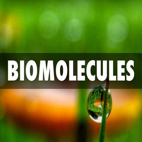 carbohydrates food molecules in our body.pptx
