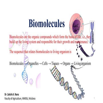 biomolecule.pptx