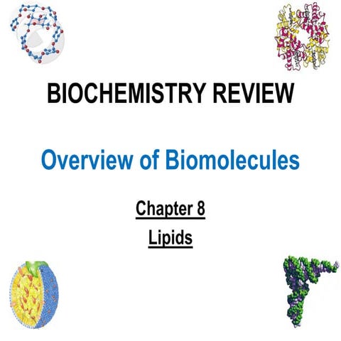 BIOCHEMISTRY overview of biomolecules.pdf