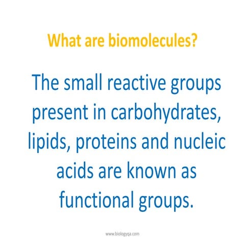 Biomolecules and biochemical reactions | PPTX