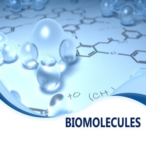 BIOMOLECULES lesson for grade 10 students | PPTX