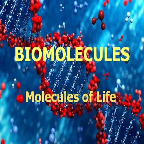 BIOMOLECULES G10 NOW.ppt