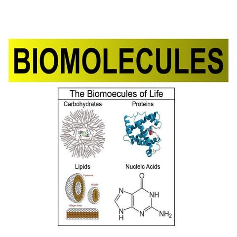 BIOMOLECULES COMPOSED OF CARBOHYDRATES, PROTEINS, FATS AND LIPIDS AND ...
