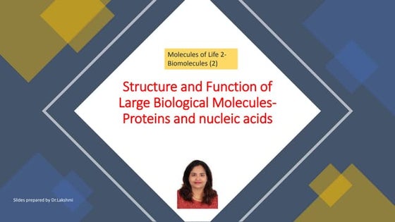 biosynthesis and regulation of macromolecules | PPT