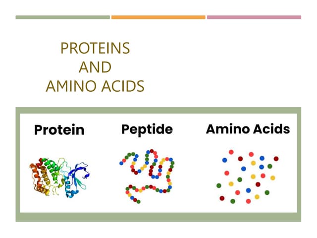 protein unit 3.pptx bsc nursing 2nd semester | PPTX