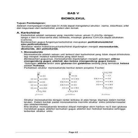 Biomolekul | DOCX
