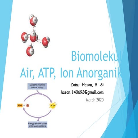 Biomolekul air, ATP, Ion anorganik | PPTX