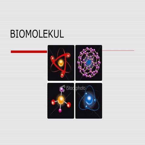 Biomolekul ppt | PPT