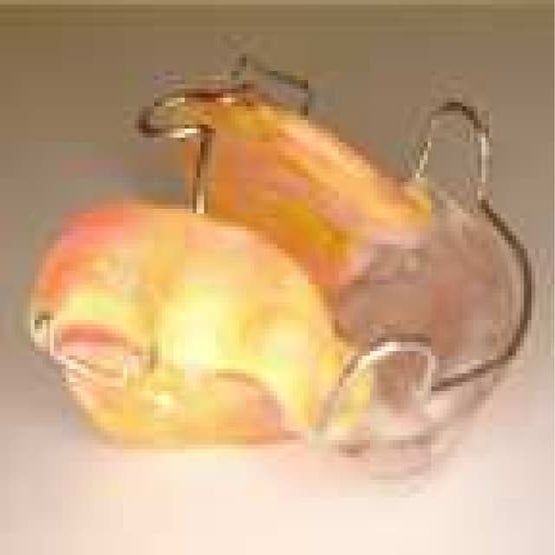 Glauser-Williams Orthodontics - Bionator | PDF