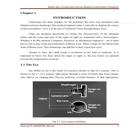 Bionic lens report | DOCX