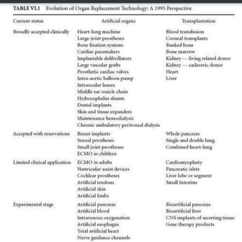 bionics_2.ppt | Endocrine and Metabolic Diseases | Diseases and Conditions