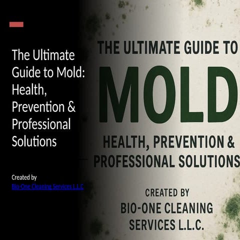 The Ultimate Guide to Mold: Health, Prevention & Professional Solutions ...