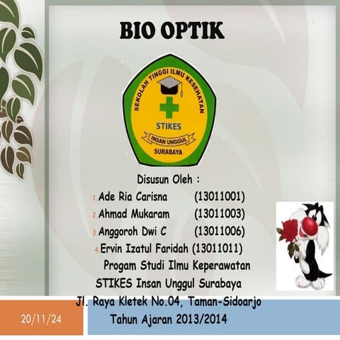 BIOOPTIK PPT yang siap.pptmm m mj m m m | PPT