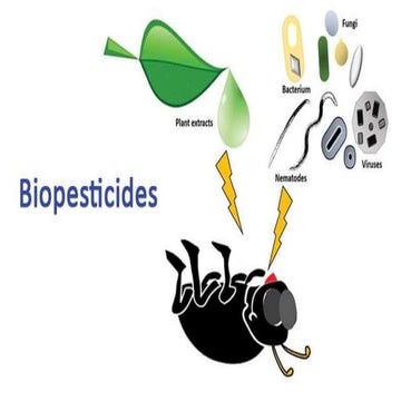Biopesticide & Biofertilizer - useful for Biotechnology | PPTX ...