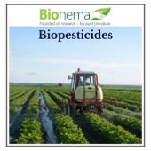 Biopesticides in Sustainable Agriculture.pdf