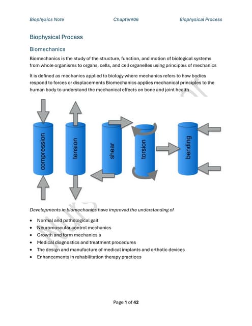 Pathophysiology Chapter 5 Electrolyte Imbalance in Burn Patient Notes.pdf